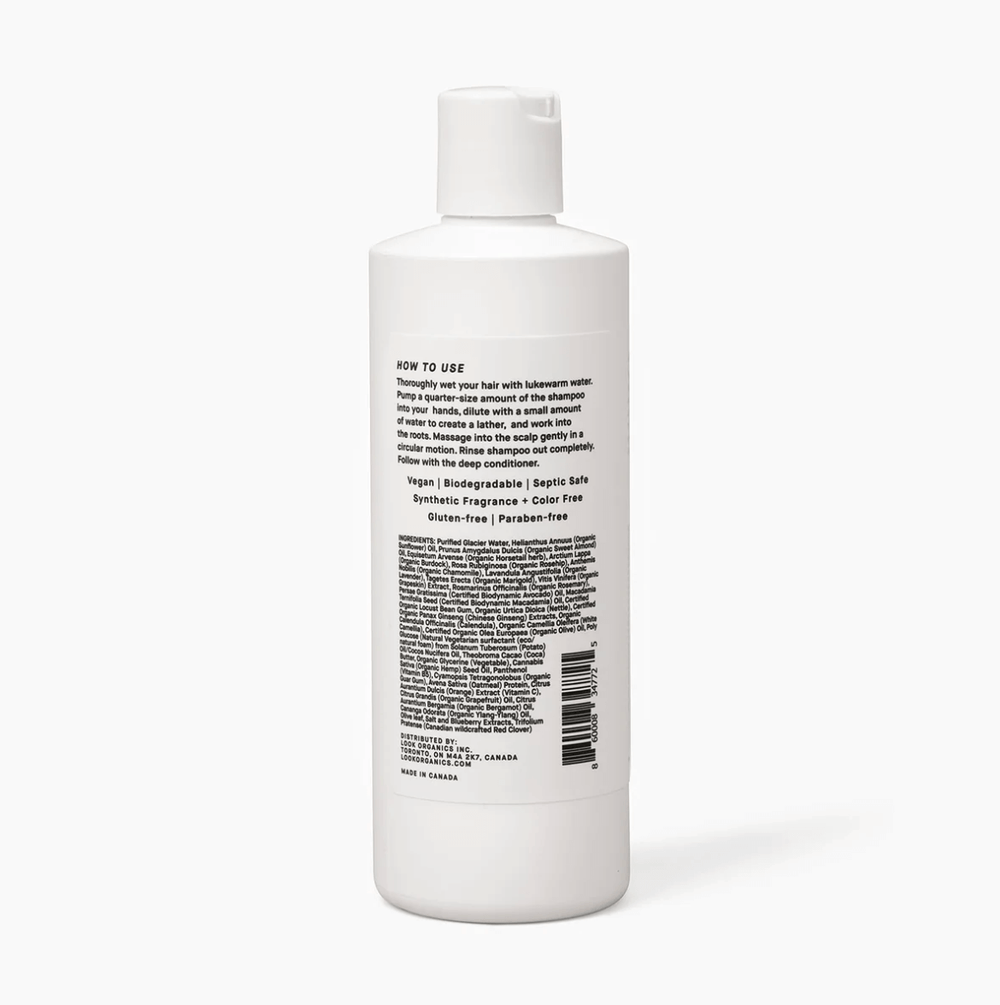 Look Organics Clarifying Shampoo - Reinvigorate Hair – Live Healthillie